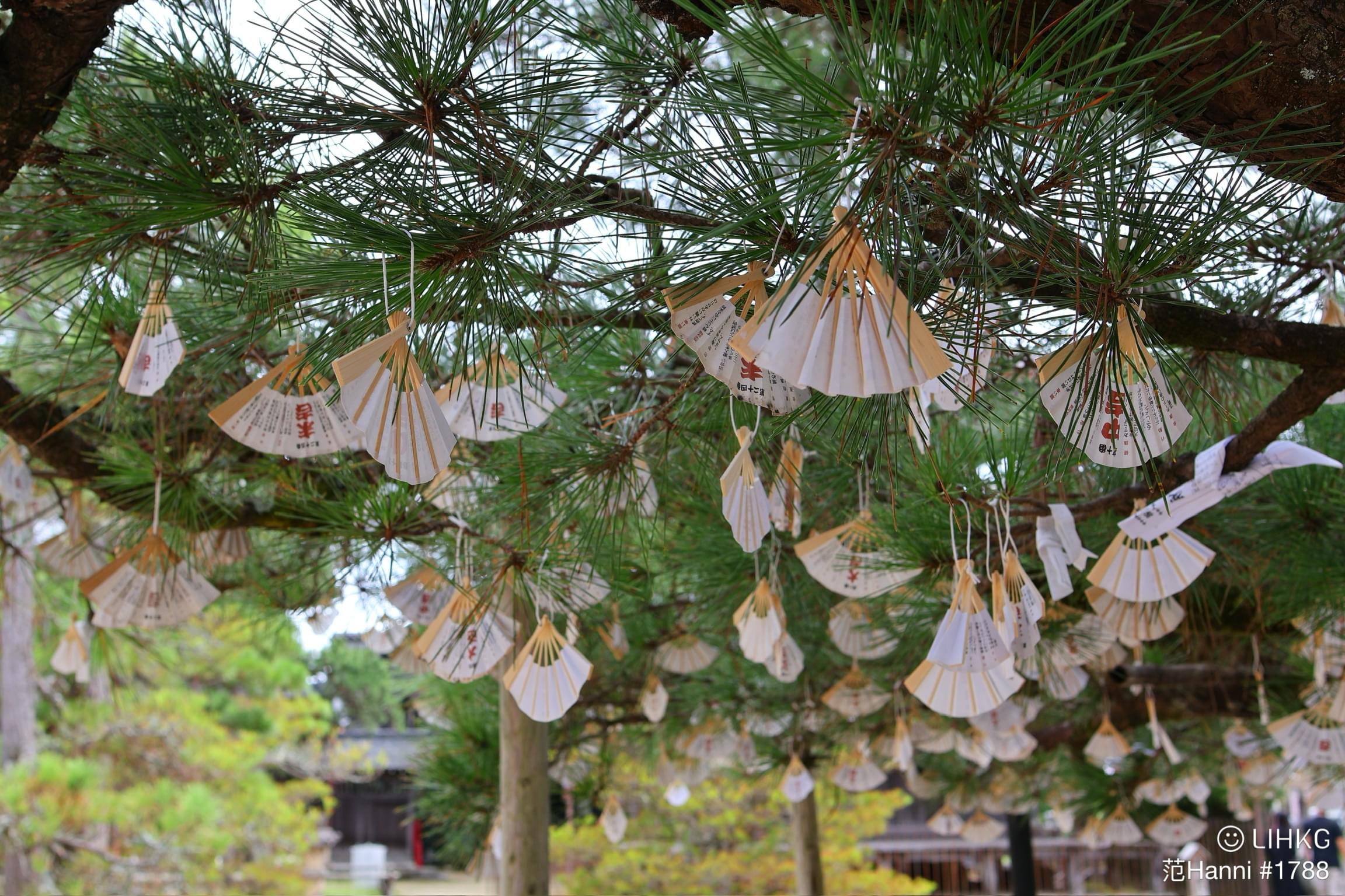 瀨戶內海ft. 天橋立立令 | LIHKG 討論區