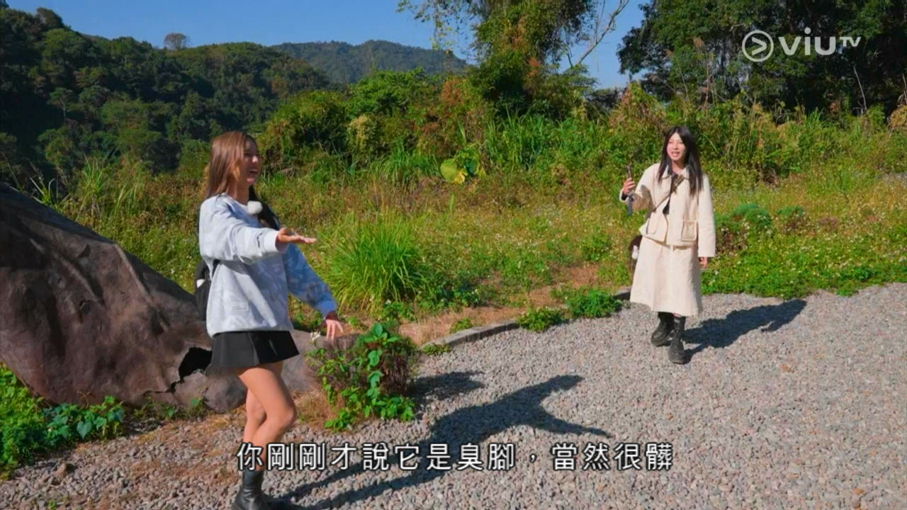 (ViuTV) 姑媽突變神隱少女 | LIHKG 討論區