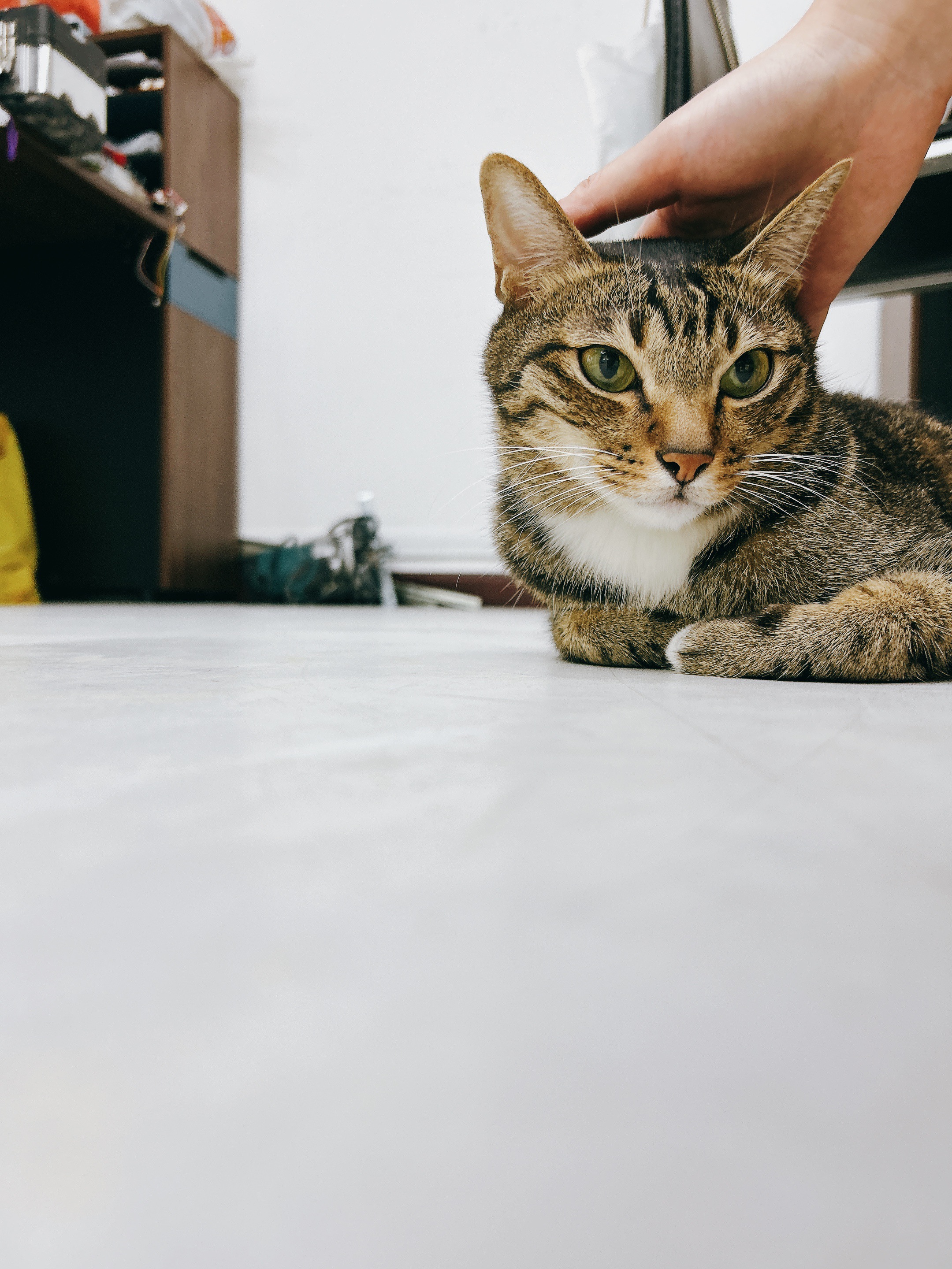 hi 傻散（1967） | LIHKG 討論區