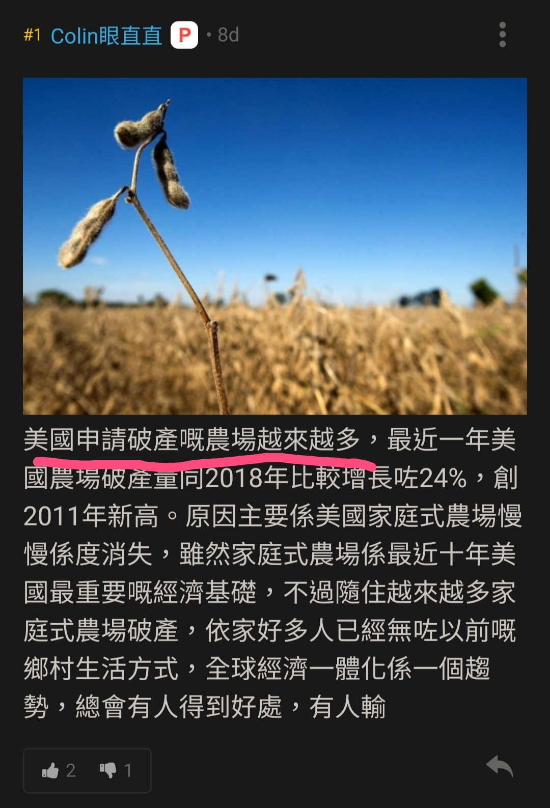 沈陣營第二百九十四期 - 師父再推《熊市Be Water Act》 | LIHKG 討論區