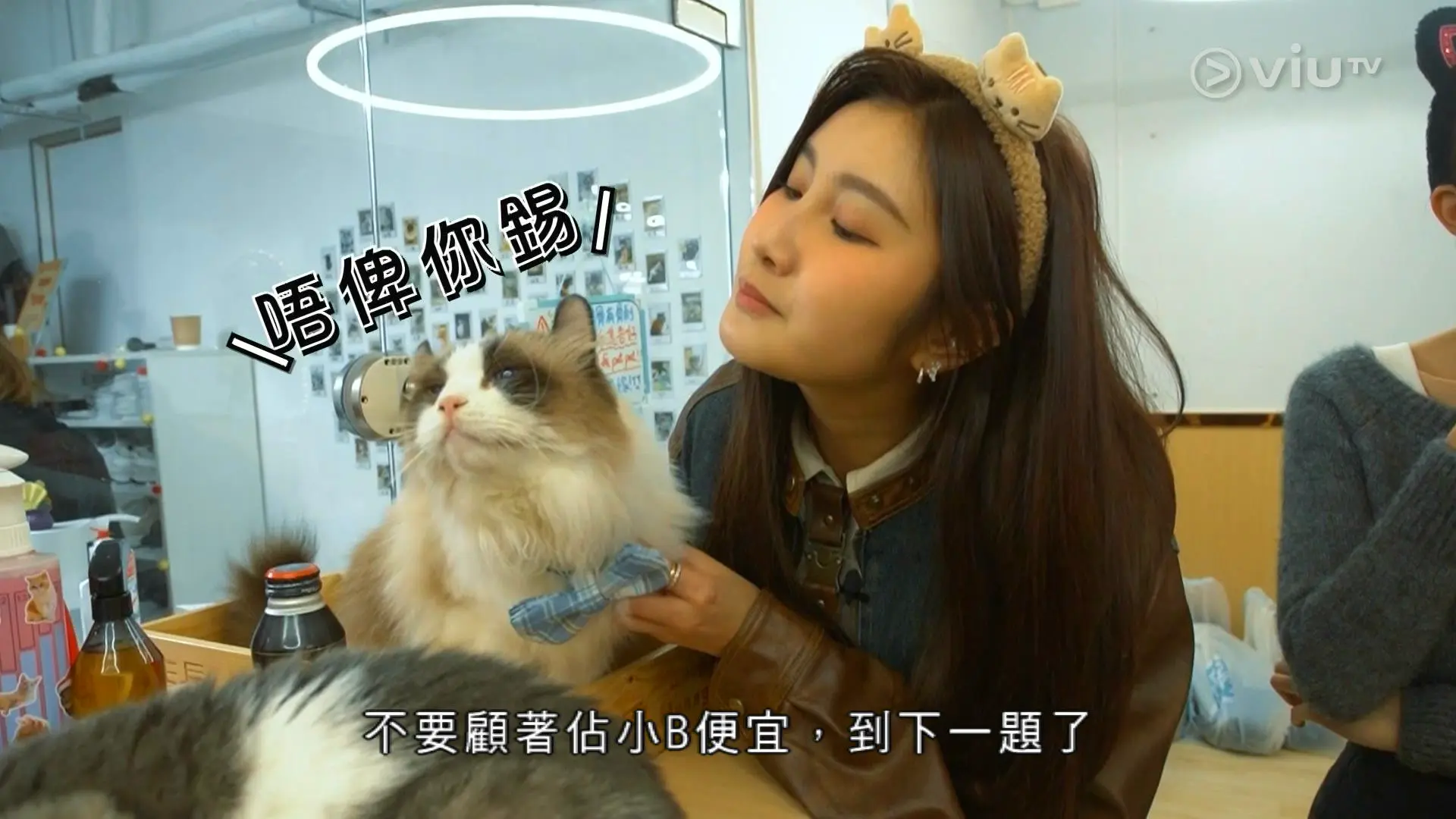 [Welcome back Yoshi][ViuTV綜藝]《腦霧研究所》星期一至五晚2300 | LIHKG 討論區