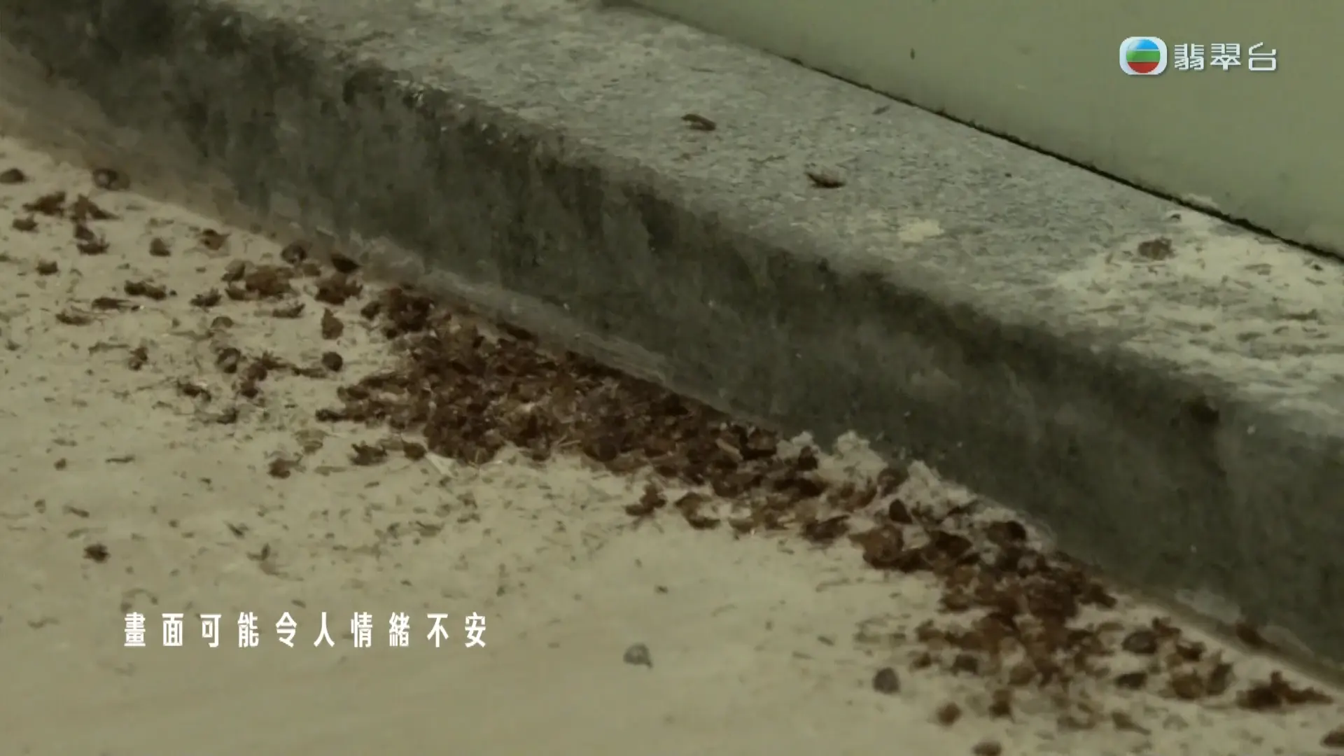 [TVB] 東張西望討論區 (201) | LIHKG 討論區