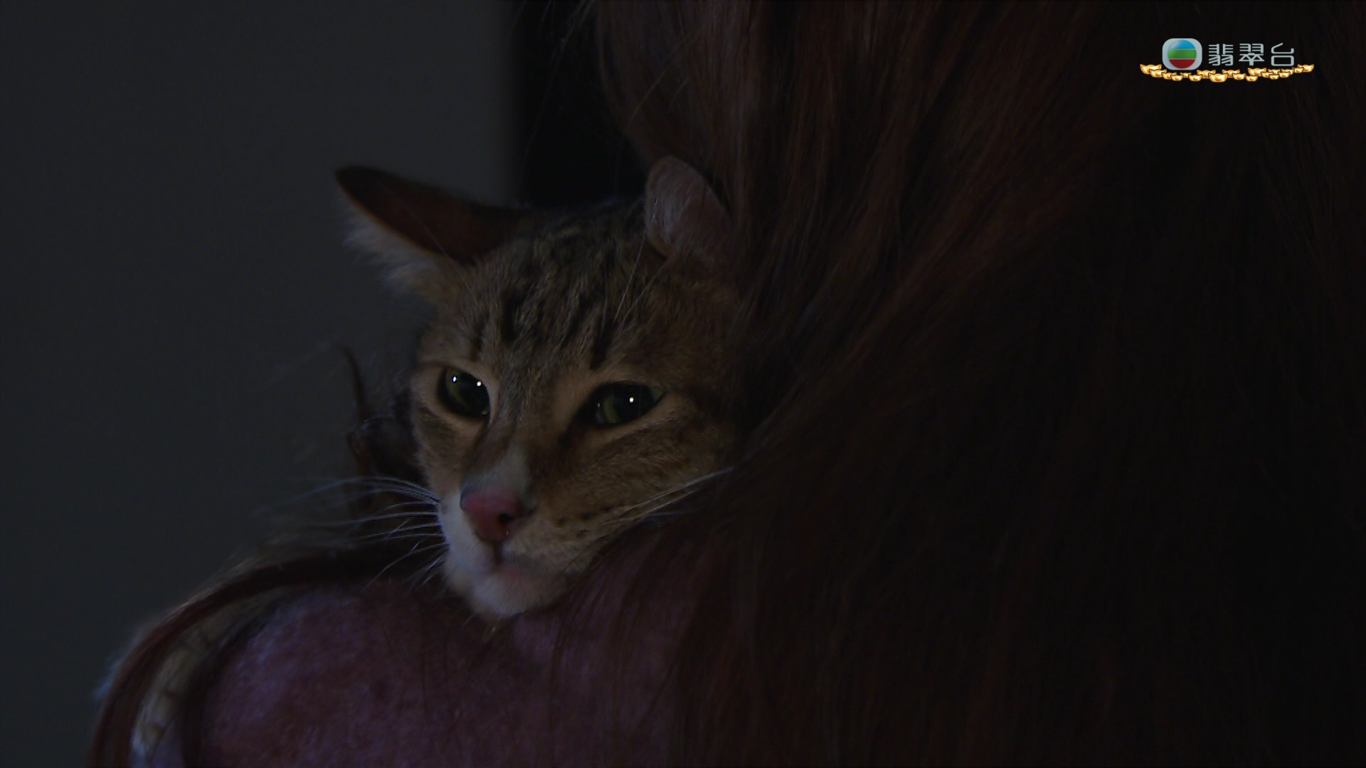 開心速遞 （486） | LIHKG 討論區