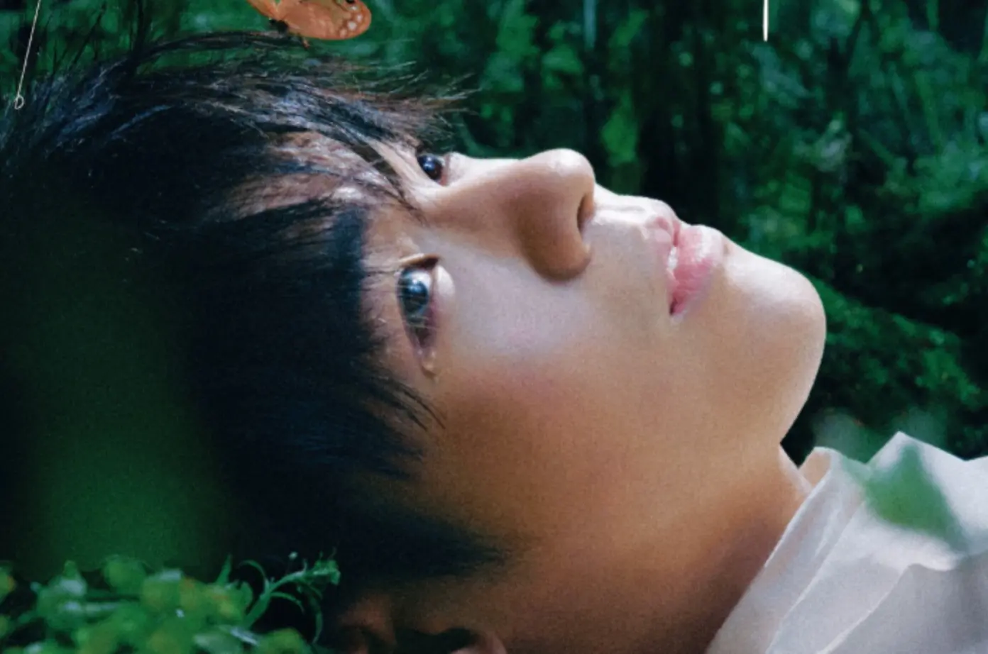 Hellosss 羅淑佩捧場送花 在台上閃閃發光的lan Chan! 真心好聽,真心好睇, 真心喜歡! | LIHKG 討論區