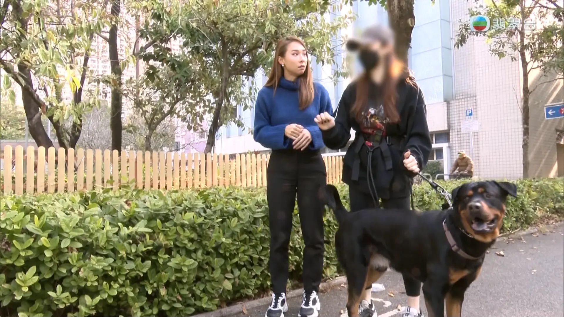 [TVB] 東張西望討論區 (209) | LIHKG 討論區