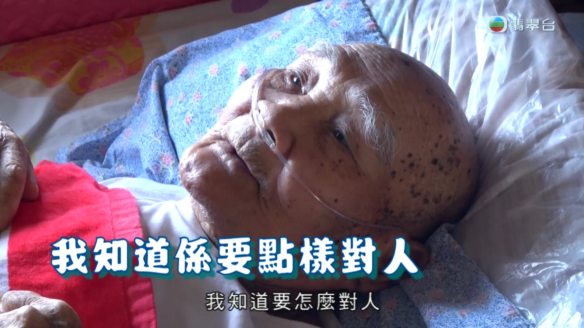 [TVB] 東張西望討論區 (158) | LIHKG 討論區