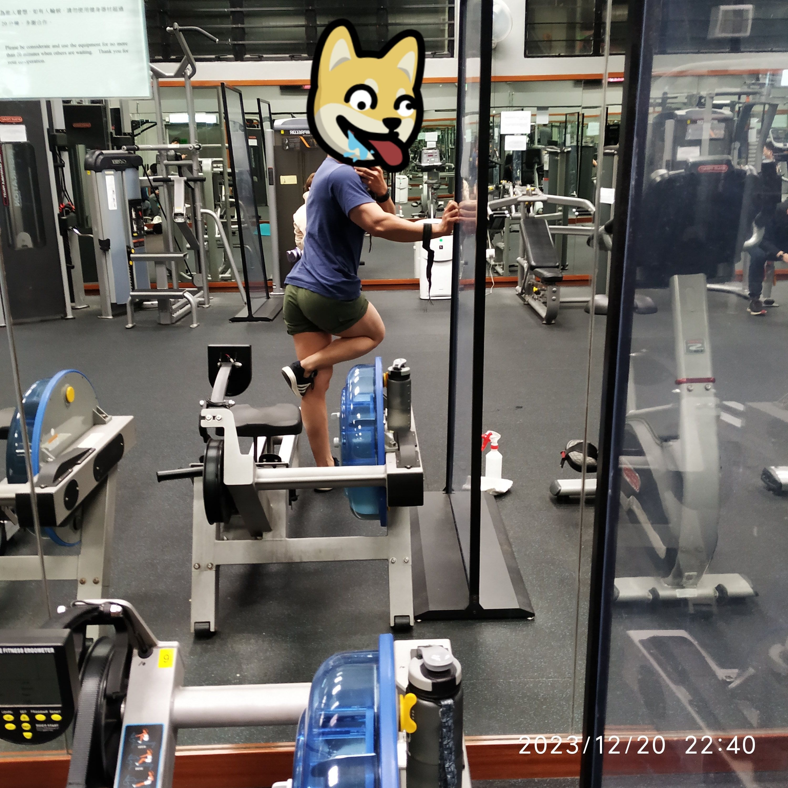 13度 不宜做gym | LIHKG 討論區