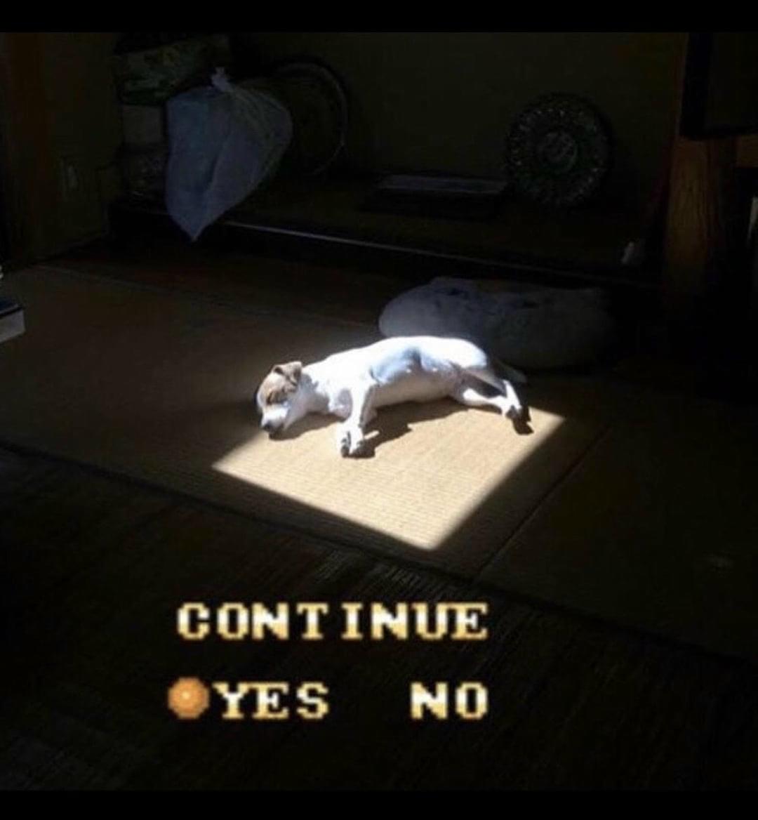 hi 淡友(2256) | LIHKG 討論區