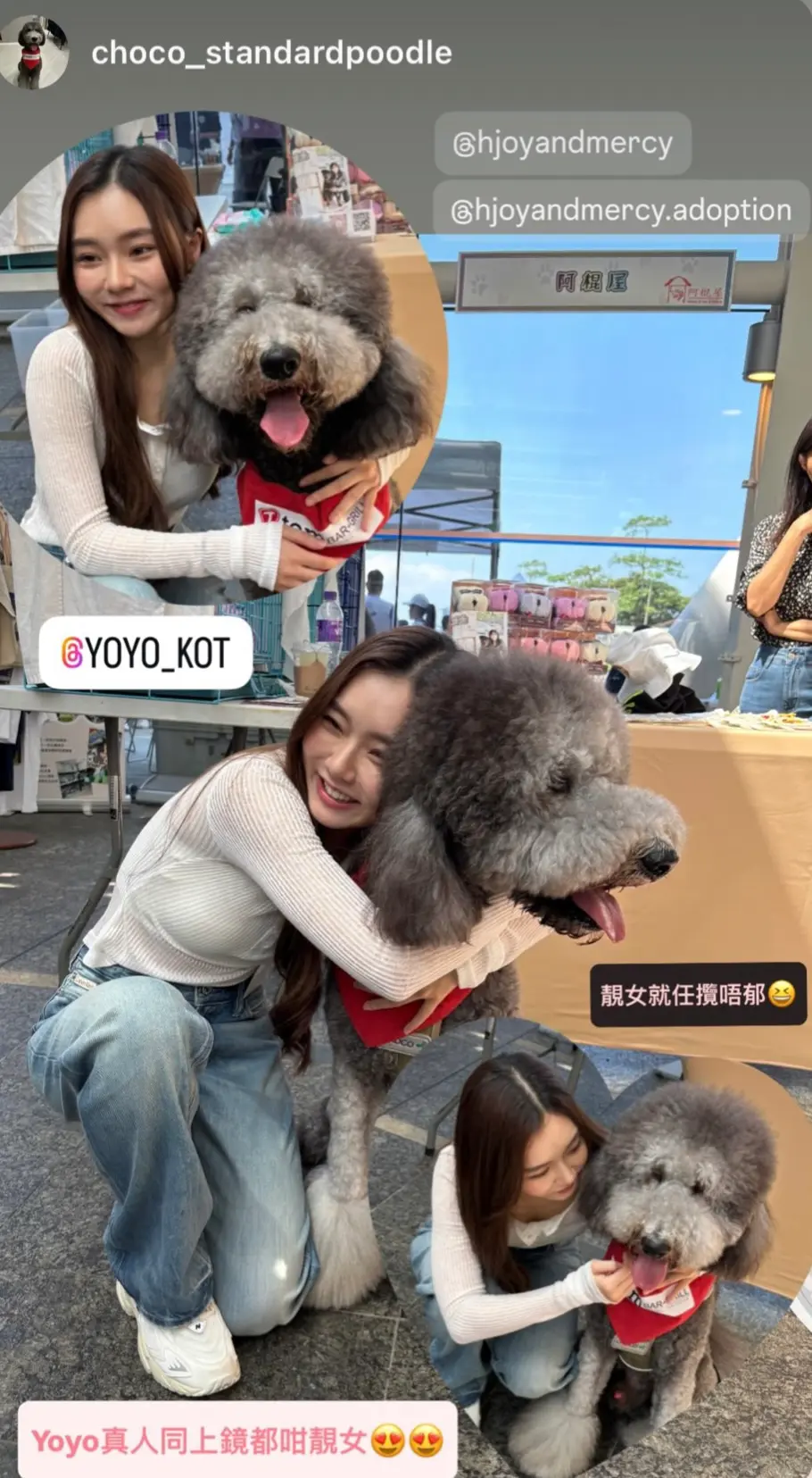 [無圖]想做隻狗比Yoyo撚 | LIHKG 討論區