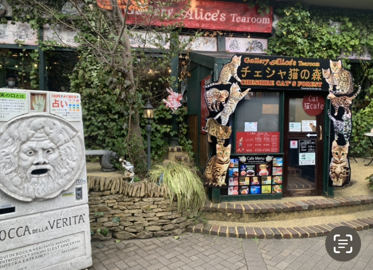 [毒遊]6日5夜福岡hea遊 | LIHKG 討論區