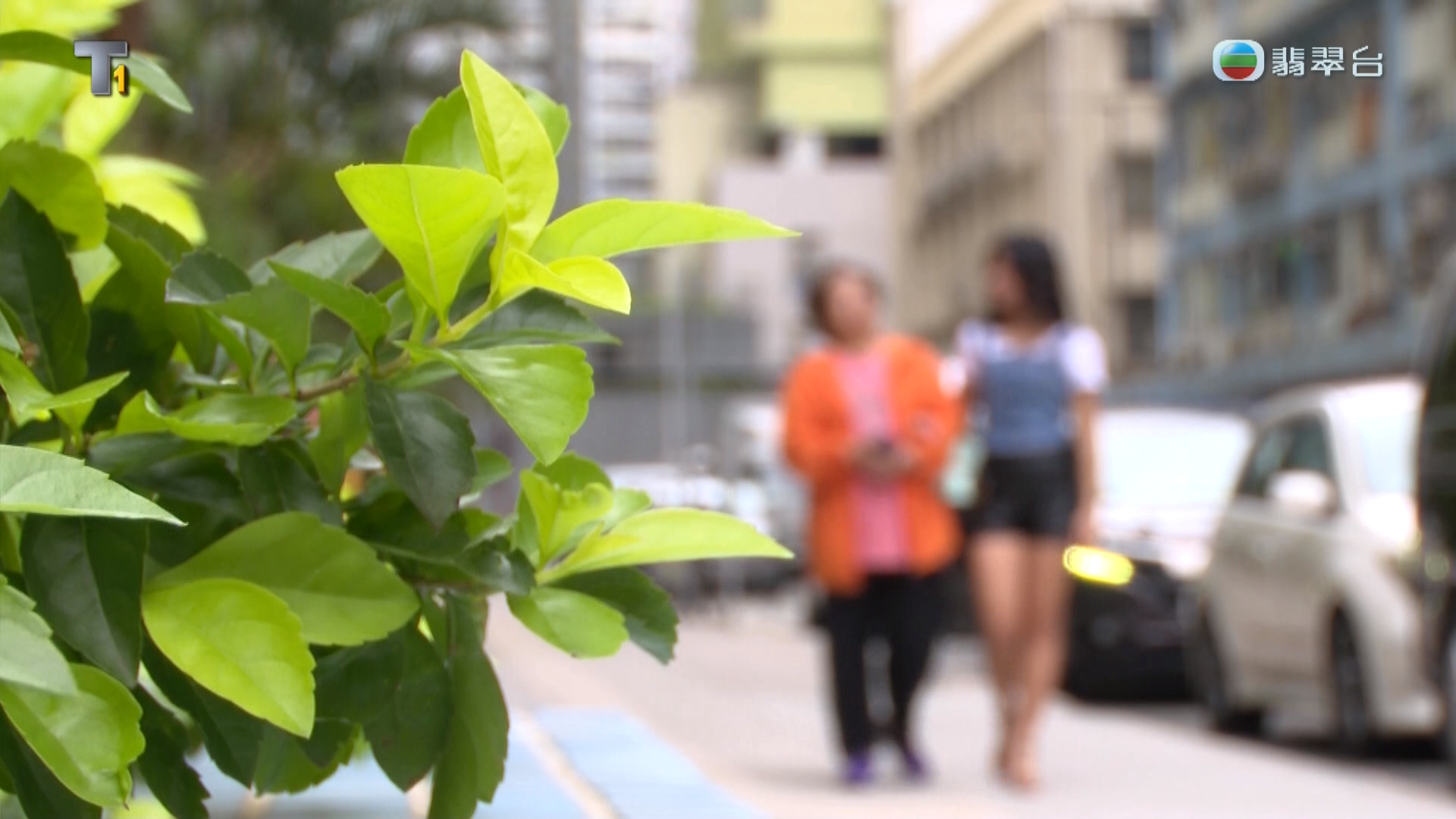 [TVB] 東張西望討論區 (95) | LIHKG 討論區