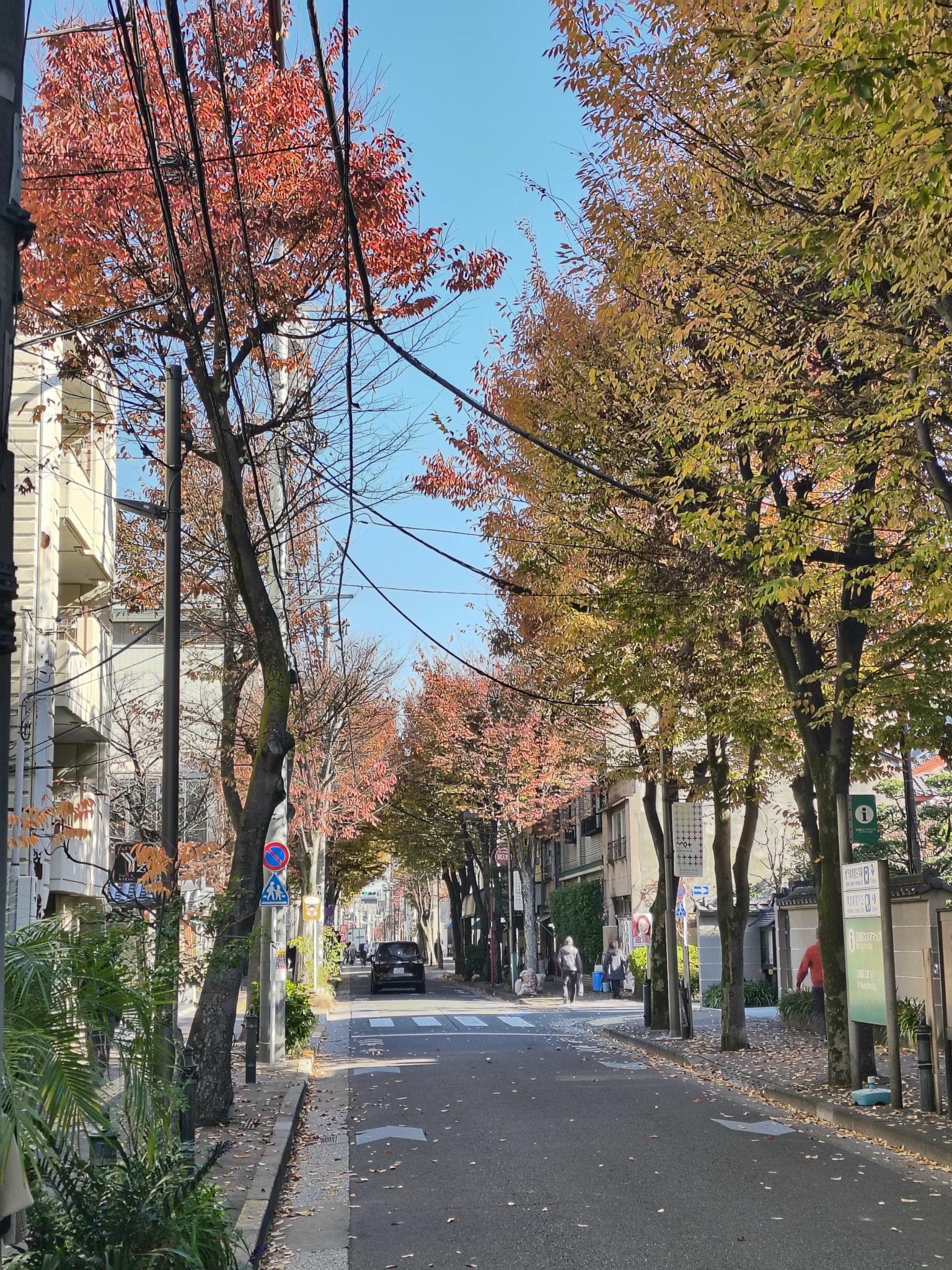 清澄白河 hea行咖啡之旅 | LIHKG 討論區