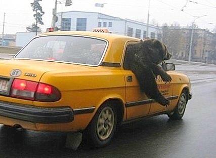 hi 淡友(2261) | LIHKG 討論區