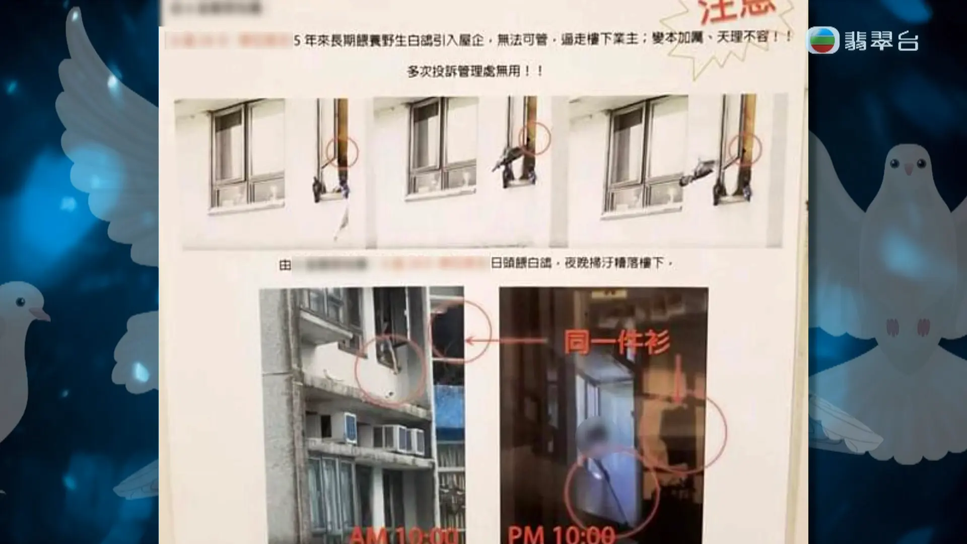 [TVB] 東張西望討論區 (163) | LIHKG 討論區