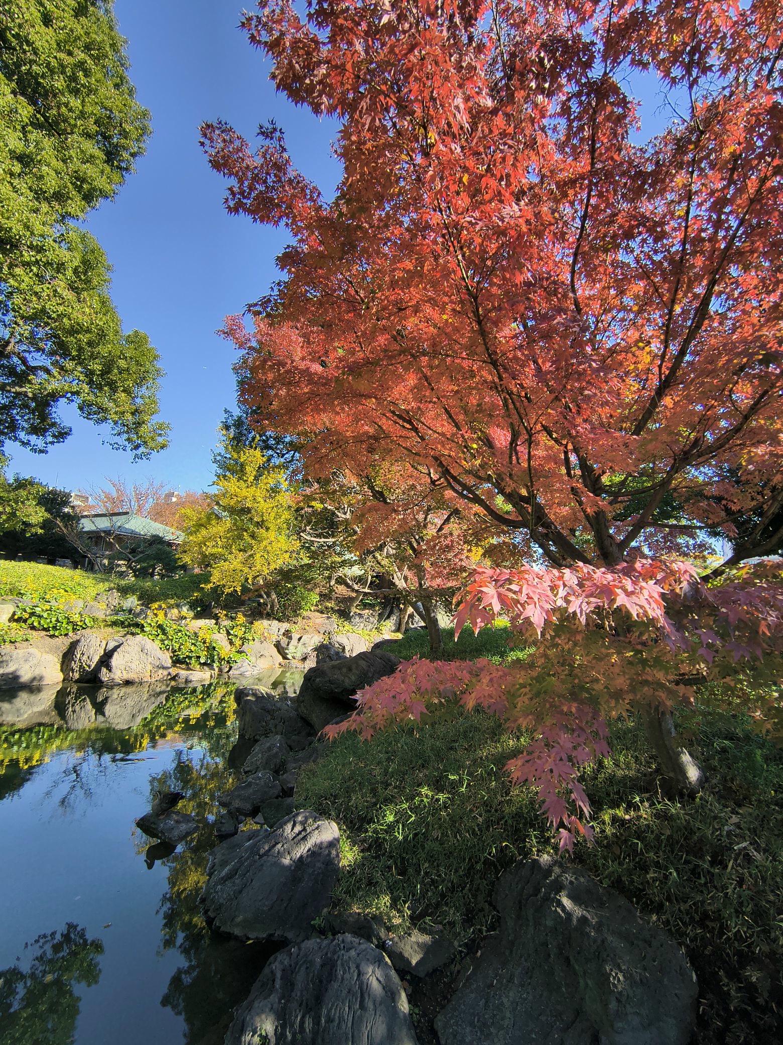 清澄白河 hea行咖啡之旅 | LIHKG 討論區