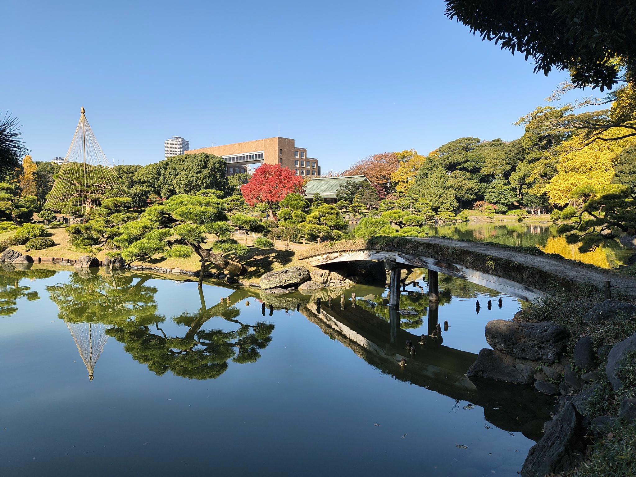 清澄白河 hea行咖啡之旅 | LIHKG 討論區