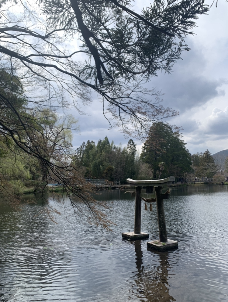 [毒遊]6日5夜福岡hea遊 | LIHKG 討論區