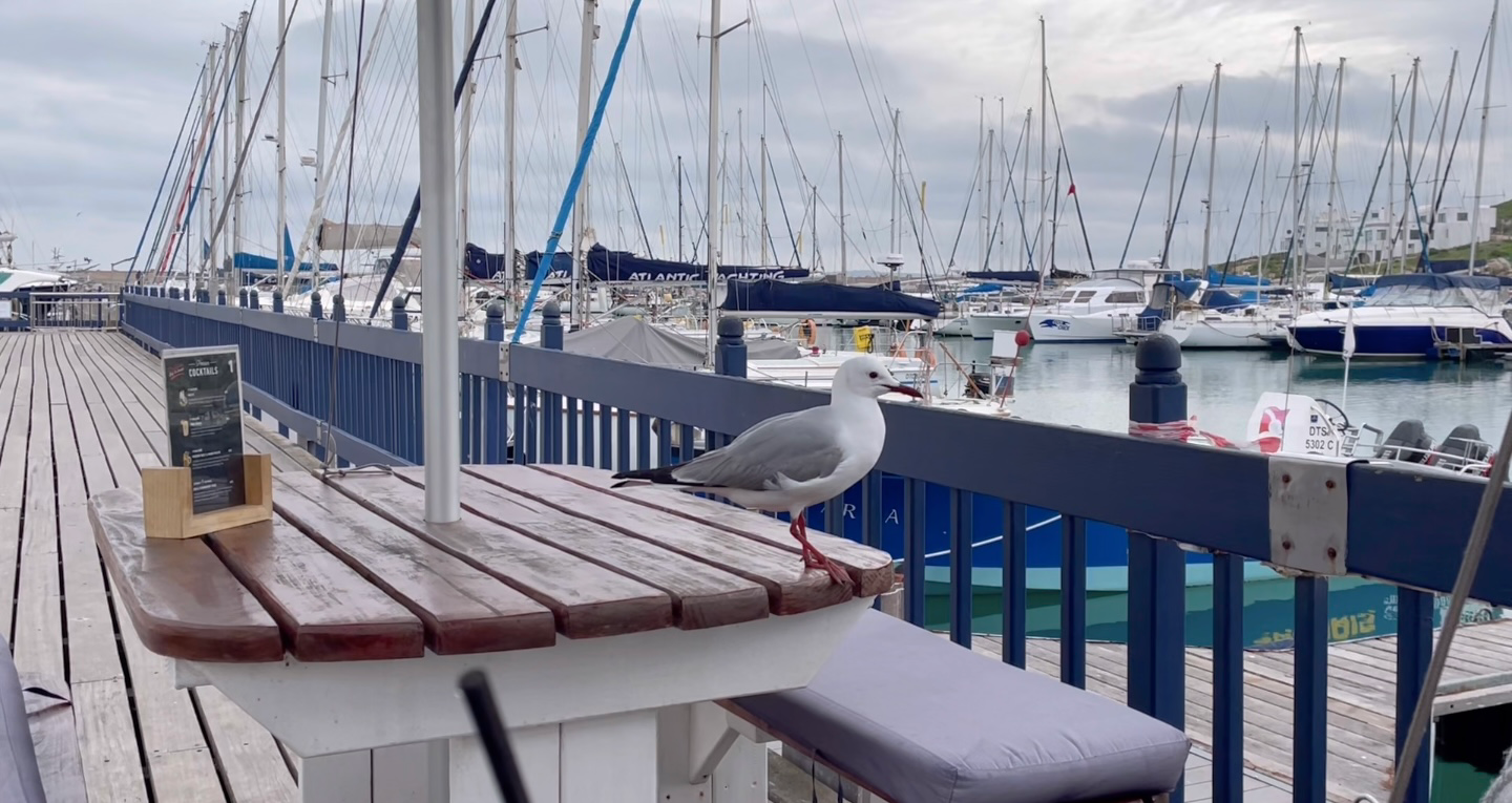 [回帶]南非exchange生活 | LIHKG 討論區