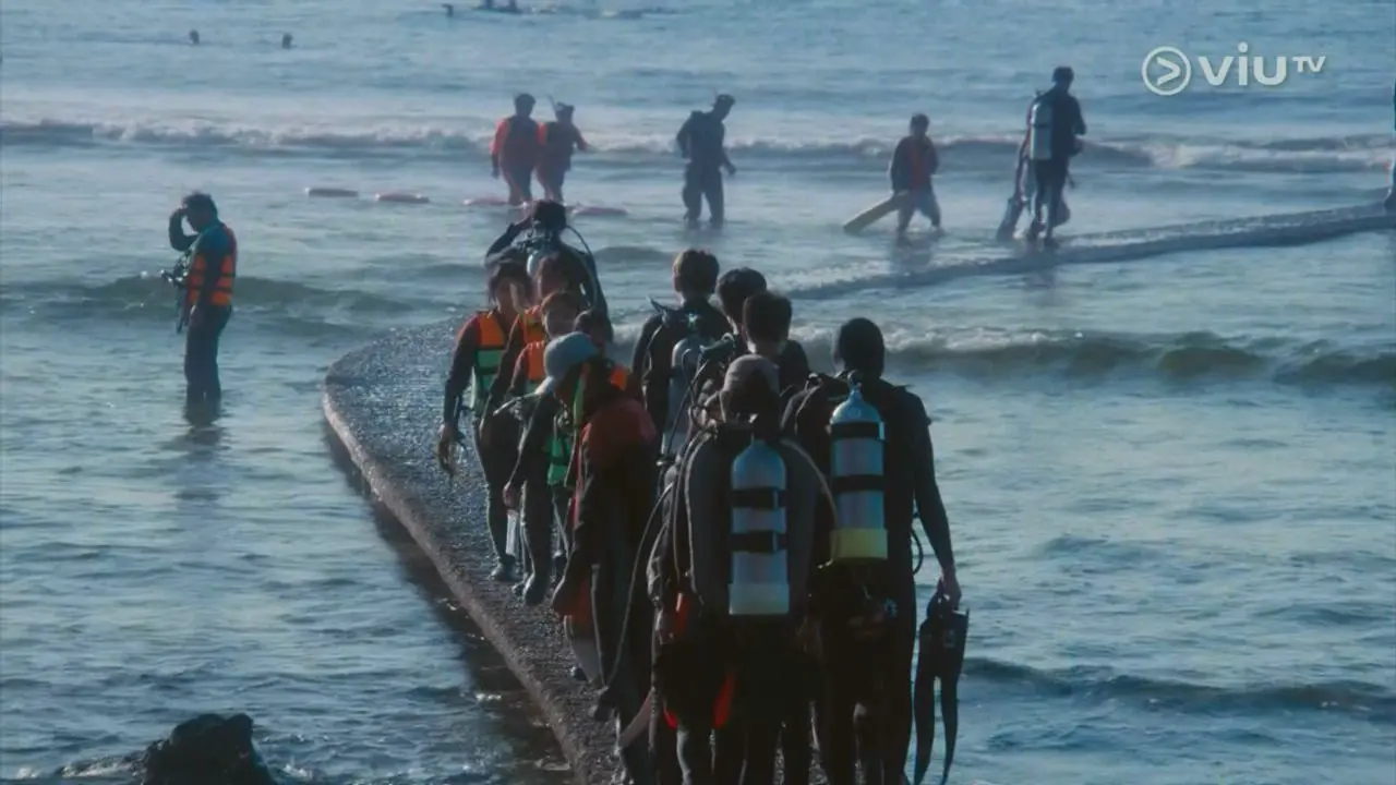 ViuTV 原創劇《島嶼協奏曲》 (3) 星期一至五晚9:30 | LIHKG 討論區