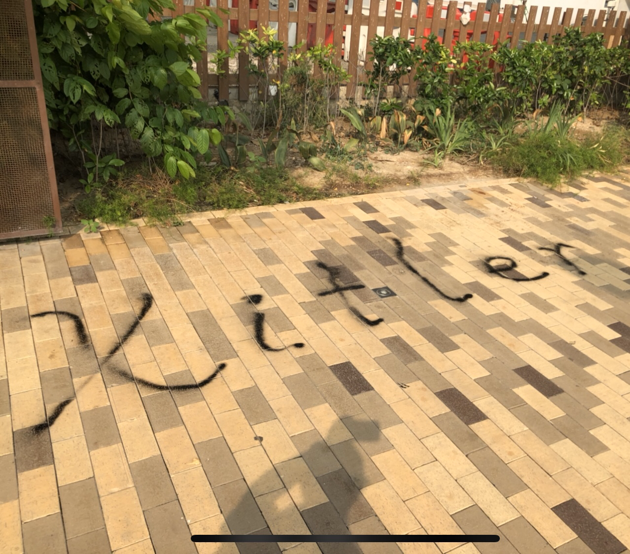 全城Hashtag #ChiNazi #Xitler | LIHKG 討論區