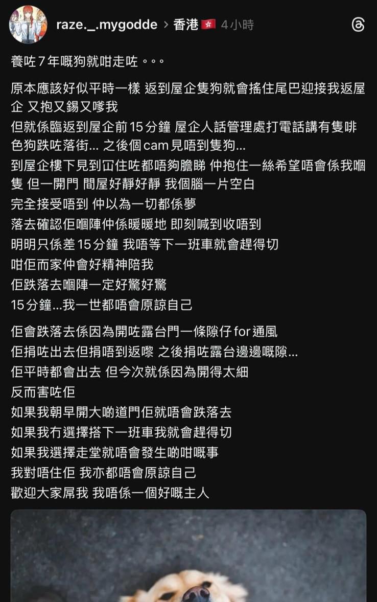 養咗7年嘅狗就咁走咗 | LIHKG 討論區
