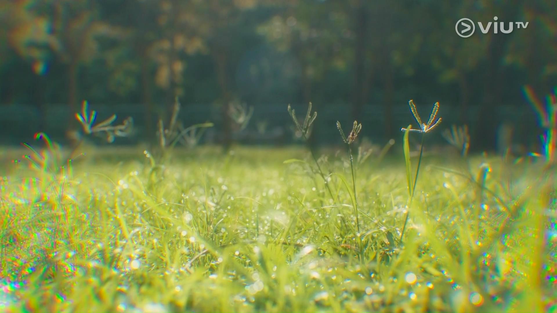 [ViuTV 原創劇] [彰老院之忠義] 老是常出現 (6) | LIHKG 討論區