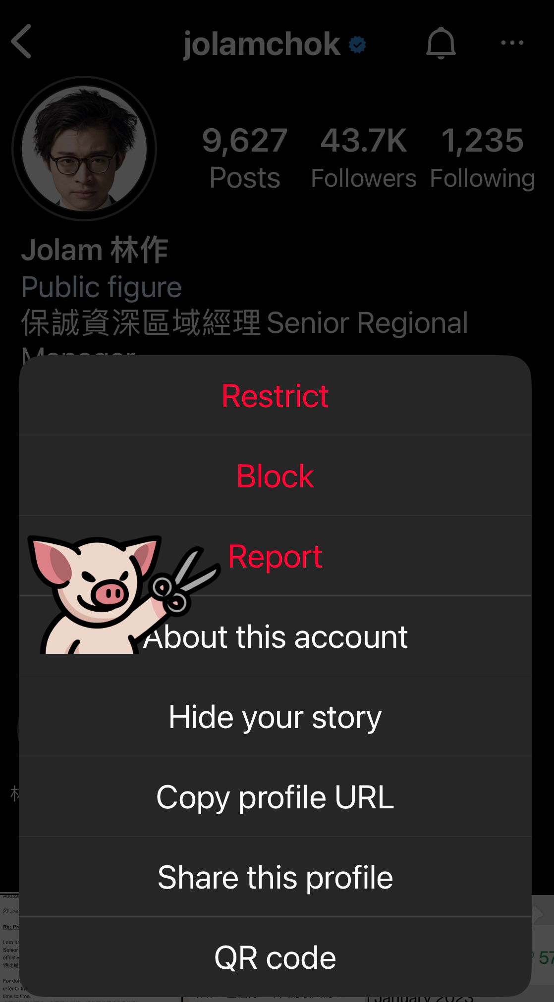 Report 林作IG 停止網路欺凌 | LIHKG 討論區